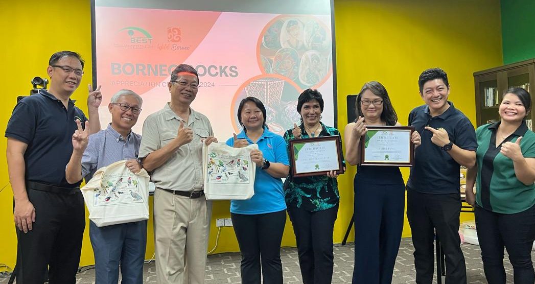 Celebrating the True Beauty of Creativity at the Borneo Rocks ...